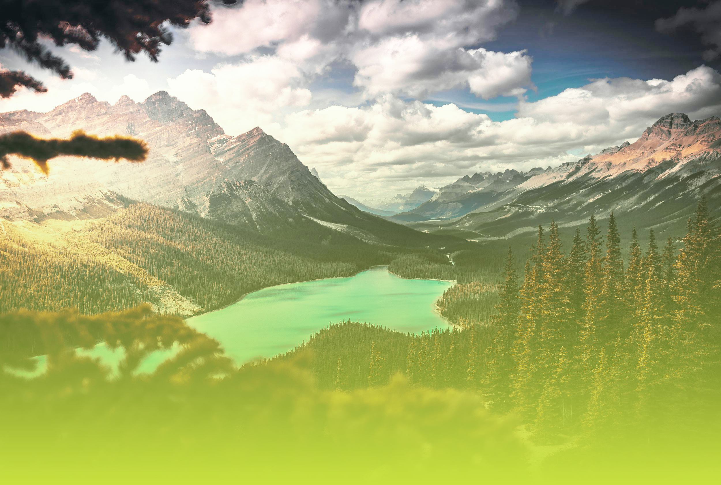 ORX Scenarios Process Benchmark & Research Study 2024 | ORX Membership